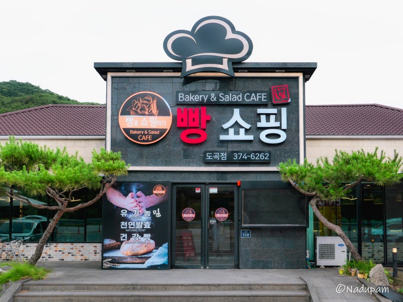 화순 도곡 빵집 경치 좋은 곳으로 유명한 신상카페 빵을쇼핑하다 네이버 블로그