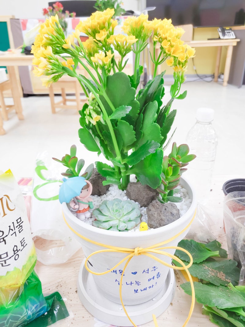노원구 상곡초등학교 병설유치원 학부모힐링연수 원예체험교육 반려식물심기수업 네이버 블로그
