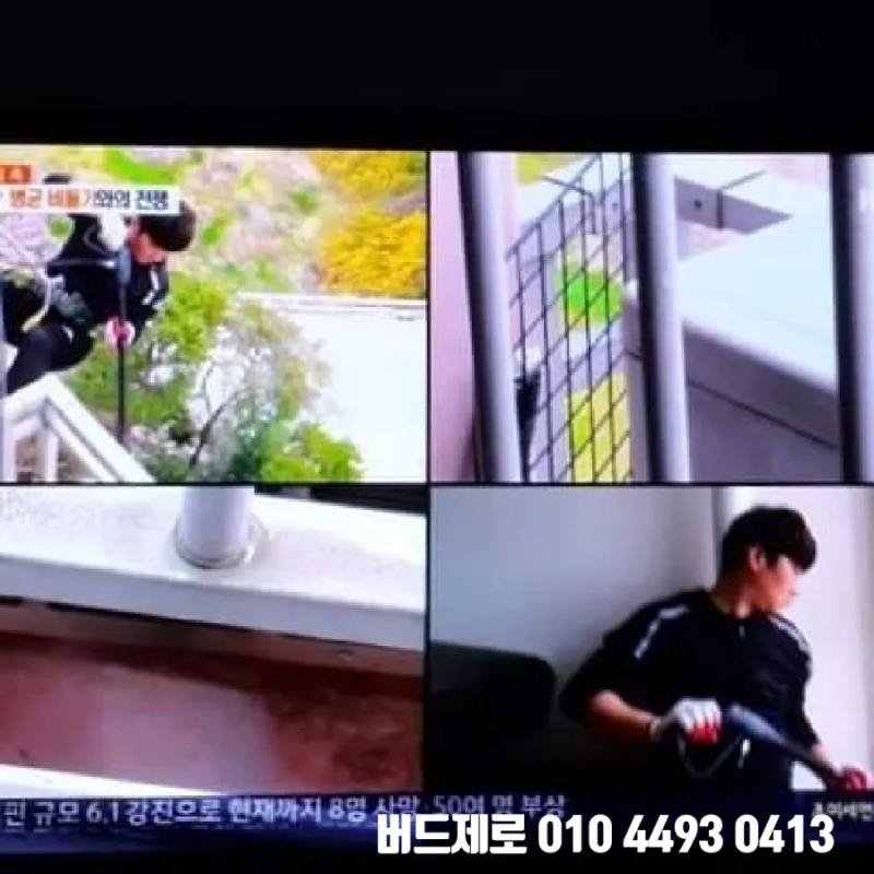 부천 비둘기퇴치업체 버드제로 중동 푸르지오 아파트 실외기실 비둘기퇴치 완료 네이버 블로그