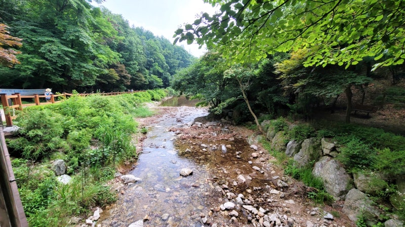 맨발걷기 좋은곳 광교산 등산코스 반딧불이 형제봉 시루봉 정상 상광교 5시간 네이버 블로그