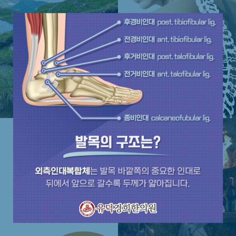 헛디딘 발목염좌에는 Price 응급처치 필수 만안구 안양역한의원 추나요법 한방재활의학과전문의 네이버 블로그