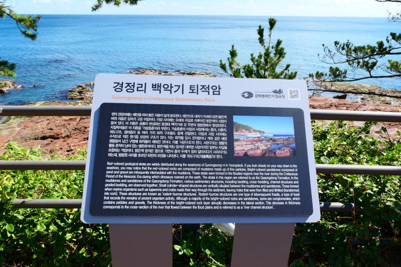 동해안 여행 15 2 영덕 블루로드 B코스해파랑길 21코스 걷기 좋은 최애 트레킹 코스 네이버 블로그