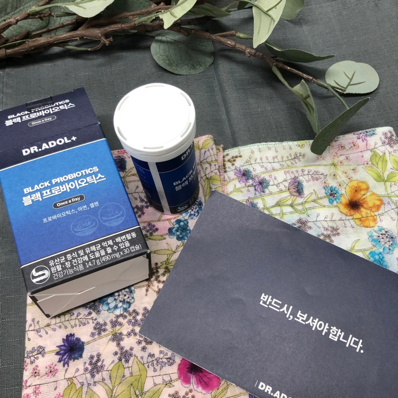프로바이오틱스 추천 장에 필요한 유산균 네이버 블로그
