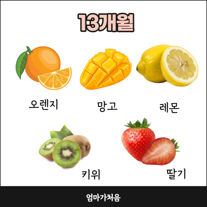 아기 과일시기 주스 이온음료 탄산 6개월 7개월 8개월 9개월 10개월 네이버 블로그