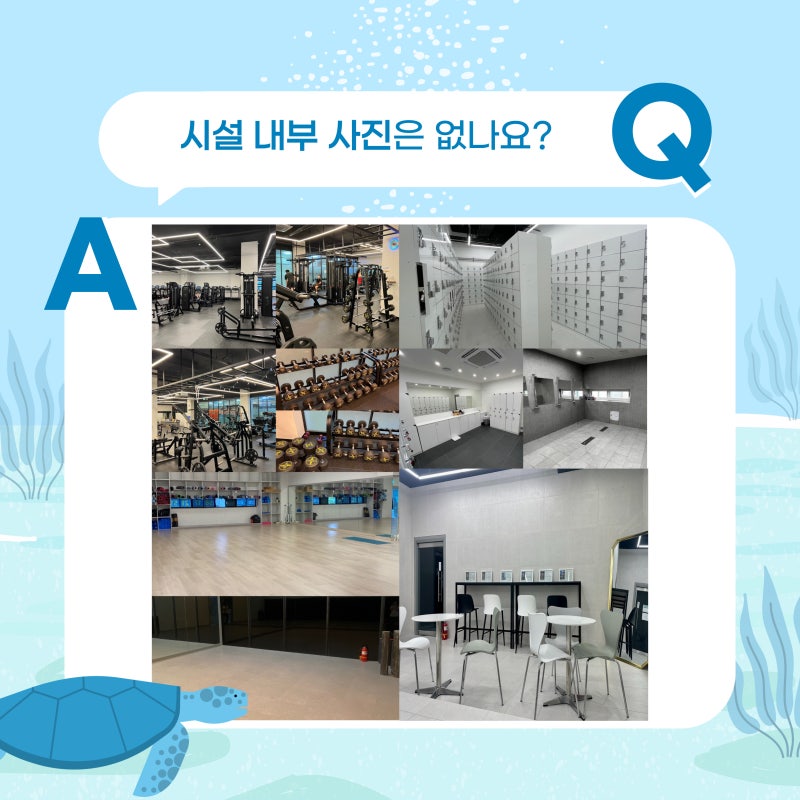 ♥팀마린 사용법♥ 상남동헬스상남동pt창원헬스장창원헬스맛집 네이버 블로그