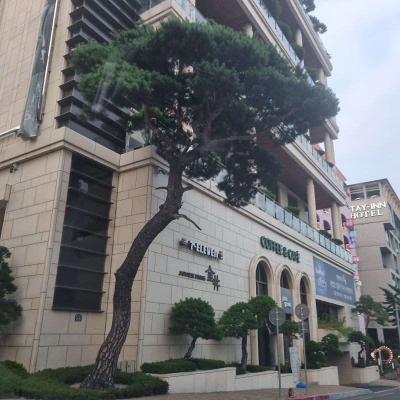 김해 장유 맛집 금정일식점 스시 정식 룸까지 완벽하다 네이버 블로그