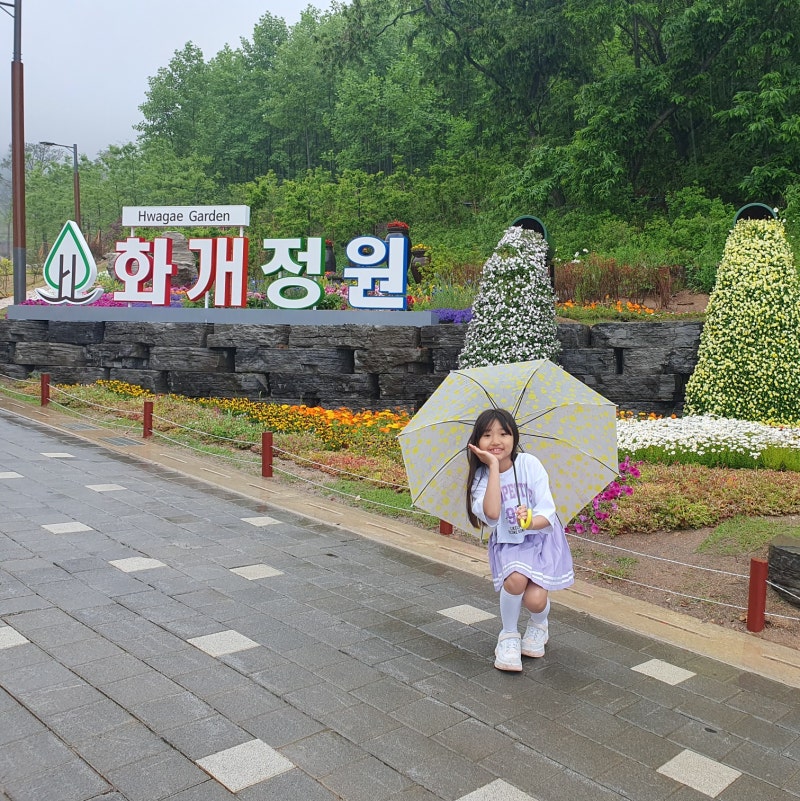 강화도 가볼만한곳 화개정원 교동도 화개산 모노레일 당일치기 여행 네이버 블로그