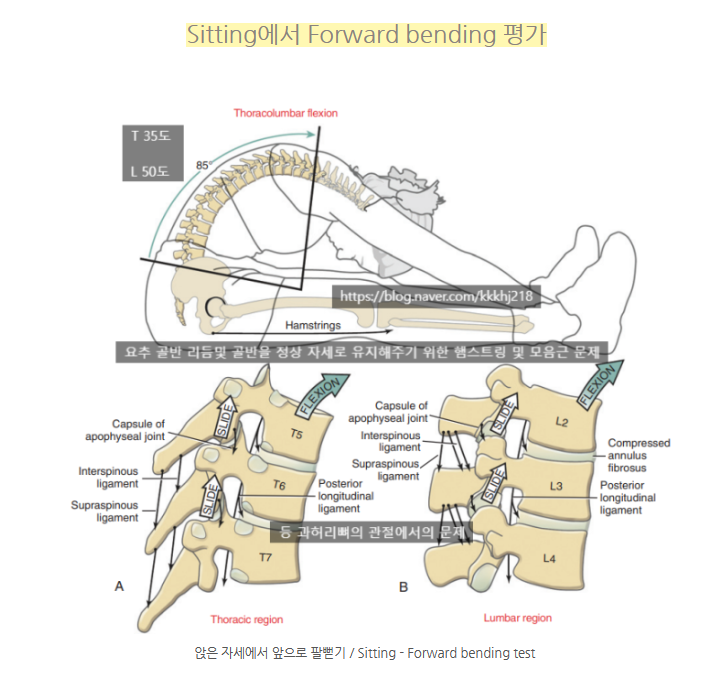 앉은 자세에서 forward bending test case : 네이버 블로그