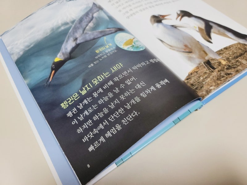 7세 문해력 블루래빗 디스커버리 지식백과로 키워요 네이버 블로그