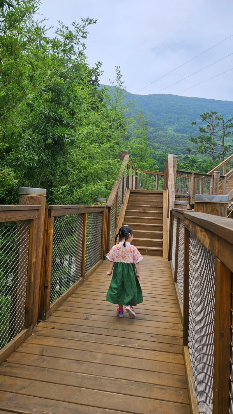 같이놀자 월아산 숲속의 진주 수국축제 정원 박람회 네이버 블로그
