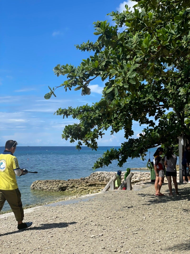 인천공항 세부퍼시픽 카운터 기내수하물 꿀팁, 세부 막탄공항 식당 등 (5J129, 5J128 ) : 네이버 블로그