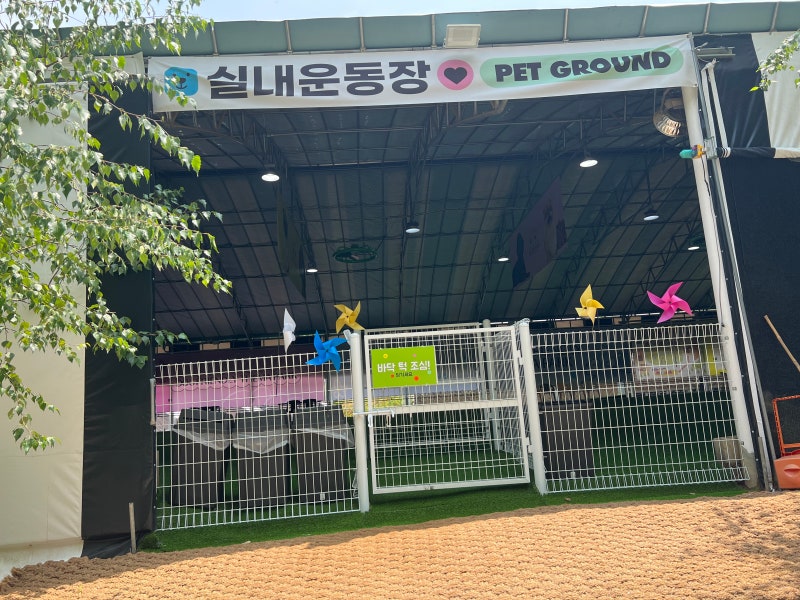 파주 애견카페 자유로멍 놀러와 다녀왔당 실내운동장 넘 덥자나 네이버 블로그