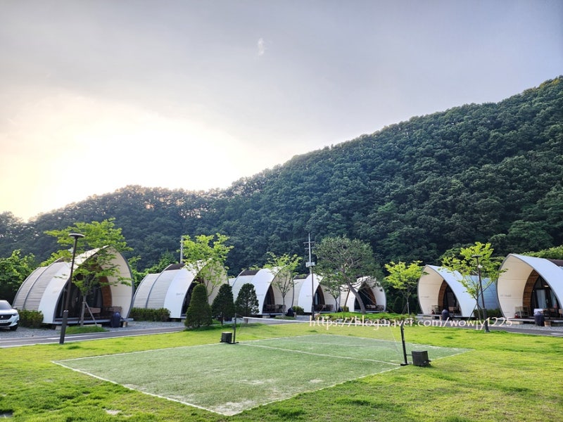 서울 근교 경기도 양평 글램핑 캠핑장 수영장 계곡 있는 디파트글램핑 애견동반 글램핑장 네이버 블로그