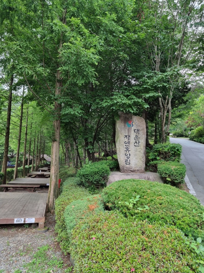 대운산 자연휴양림 계곡 물놀이 데크 텐트 카라반 공작 후기 네이버 블로그