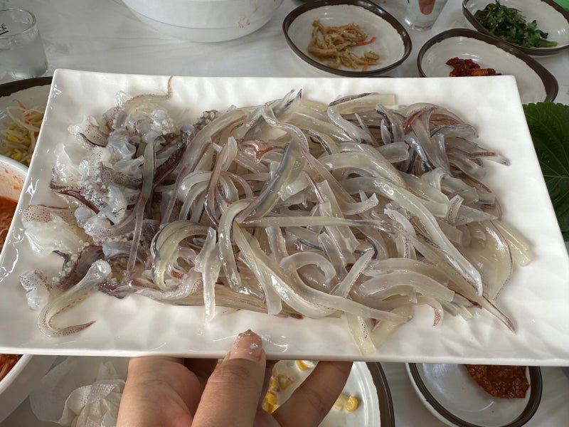속초 조양동 맛집 속초해변물회맛집 싱싱한 오징어회 횟집 네이버 블로그