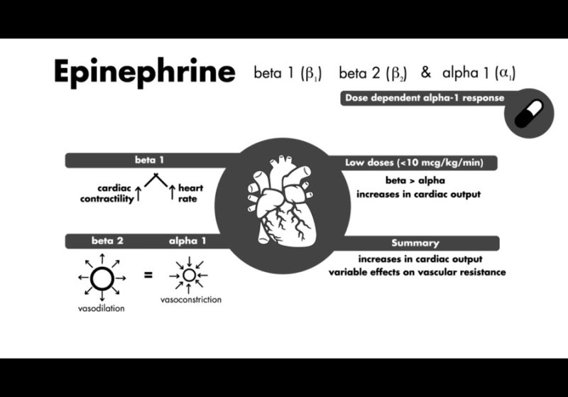 CPR 약물 - 에피네프린 주사 (Adrenaline / Epinephrine) 공부하기 : 네이버 블로그