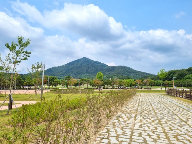 전북 여행지 추천 익산 미륵사지석탑 포토존 국립익산박물관까지 네이버 블로그