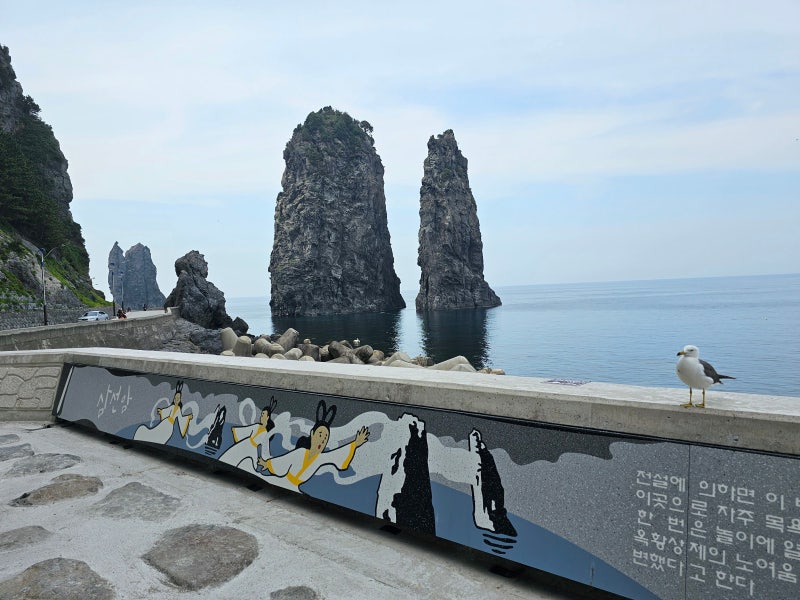 울릉도 여행코스 도동항 행남해안산책로 삼선암 거북바위 곰바위 천부 해중전망대 코끼리바위 네이버 블로그