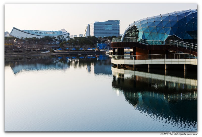 대전 근교 세종 호수 공원 아이와 물놀이 가볼 만한 곳 드라이브 여행 : 네이버 블로그