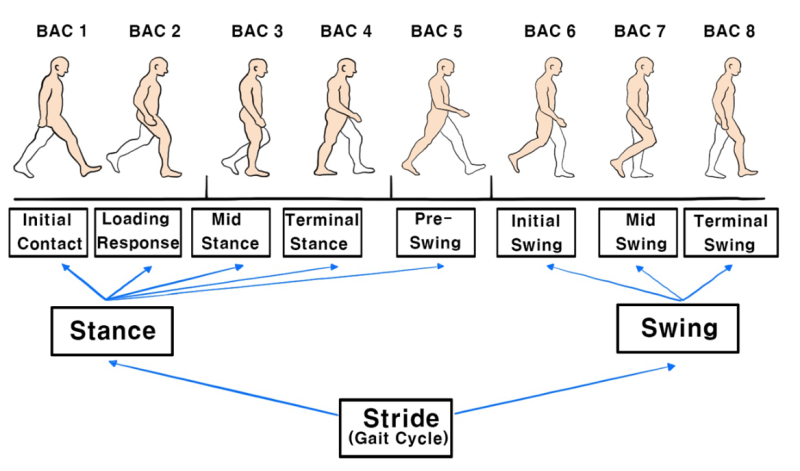 [교육 후기] PNF | Gait | Basic & Level 1,2 교육 내용 요약 : 네이버 블로그