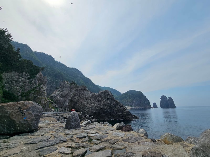 울릉도 가볼만한곳 도동항 행남해안산책로 삼선암 거북바위 곰바위 천부 해중전망대 코끼리바위 네이버 블로그