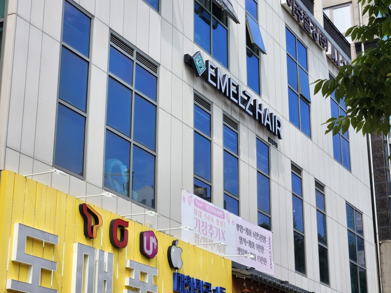 원천동 미용실 에멜즈헤어 광교흥덕점 두피힐링 스캘프컷 대만족 후기 네이버 블로그