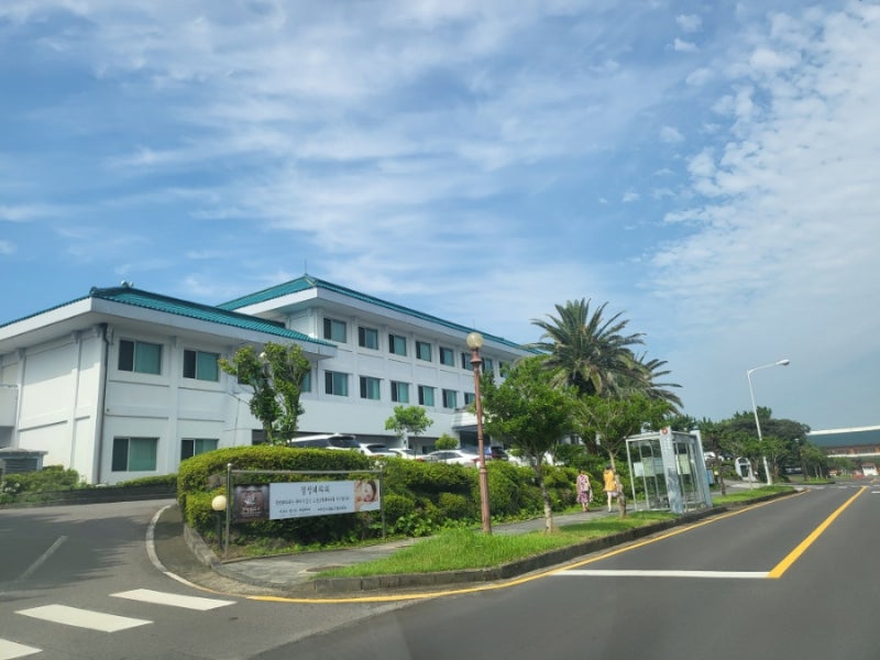 제주 서귀포 중문숙소 블룸호텔 패밀리트리플더블침대3개 조식 후기 네이버 블로그