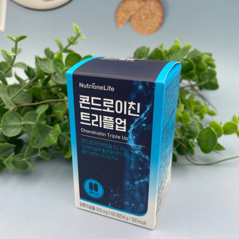 콘드로이친 성분 저분자 콘드로이친 효능 비교 분석 및 콘드로이친 부작용 네이버 블로그
