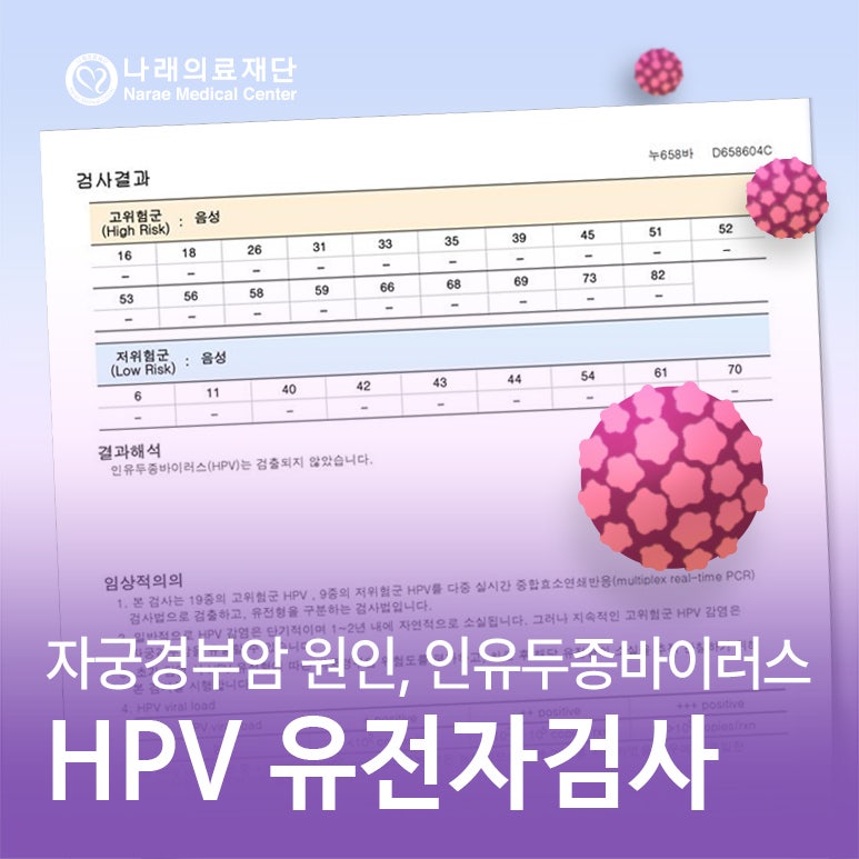 Hpv 인유두종 바이러스 검사 고위험군 예방접종 네이버 블로그
