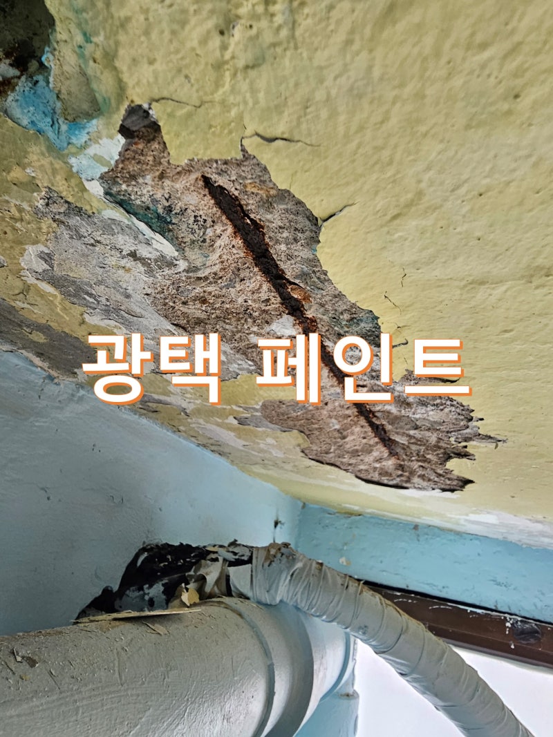 대형 건설사 철근 누락과 외벽 철근 노출 뉴스 그리고 베란다 누수 결로로 인한 콘크리트 중성화와 페인트 박리 콘크리트 탈락에