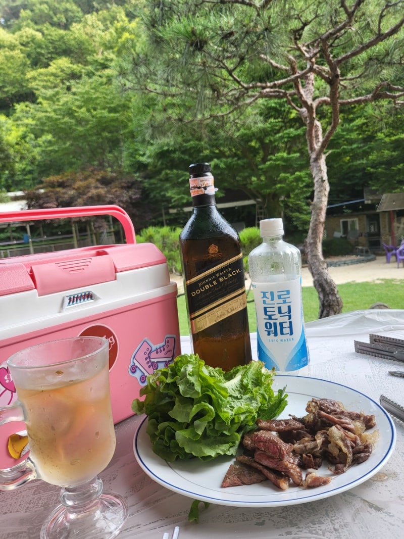 전남구례여행 들안길애견펜션 네이버 블로그