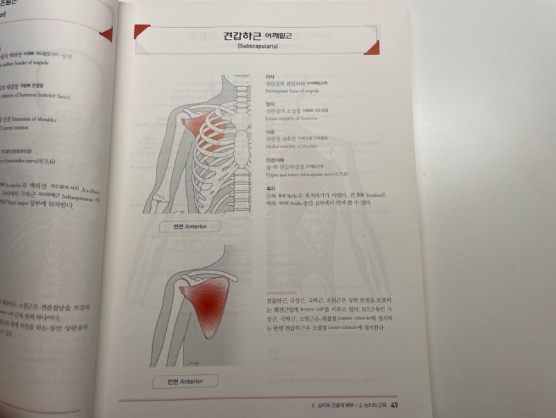 Pt 가슴복근 짬뽕가슴운동해머스트렝스 체스트프레스 스미스머신 인클라인벤치 프레스 체스트프레스 머신 복근운동