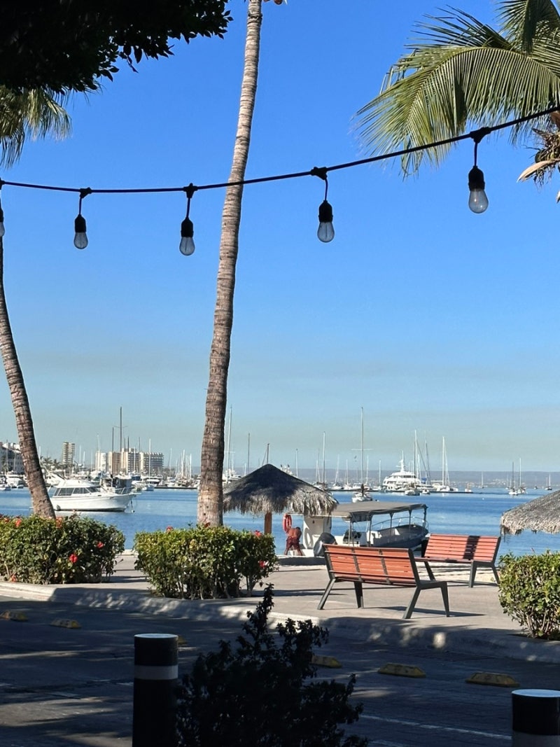 [멕시코 La Paz 여행🇲🇽 ⓾] 인생 여행지, 바하캘리포니아,말레꼰 비치,Isla del Espiritu Santo ...