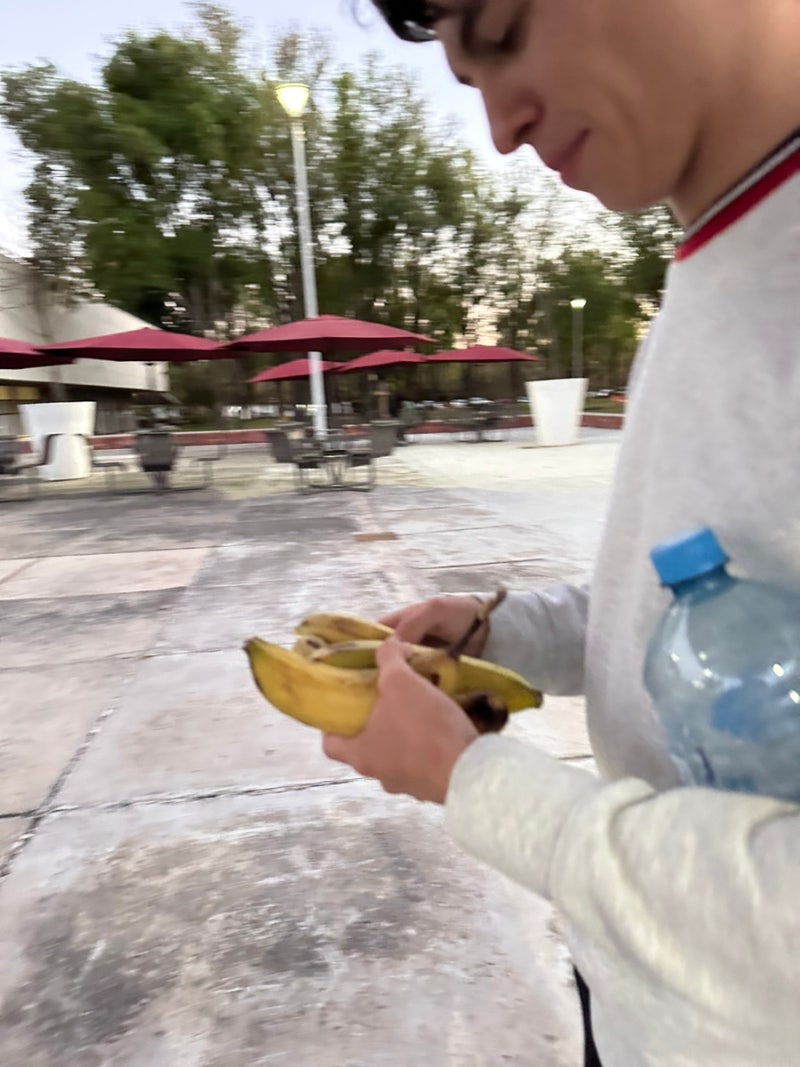 [멕시코 La Paz 여행🇲🇽 ⓾] 인생 여행지, 바하캘리포니아,말레꼰 비치,Isla del Espiritu Santo ...