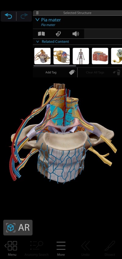 내돈내산 해부학 어플 리뷰 : 3D 아틀라스, Human anatomy, Complete anatomy, Muscle ...