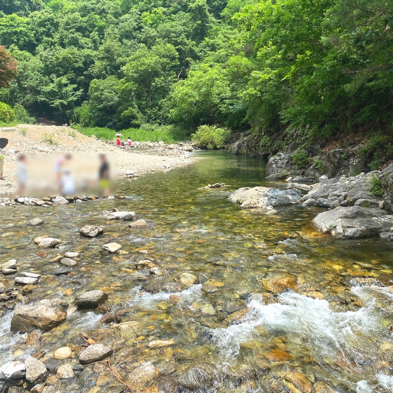 경기도 가평 아이와 가볼만한곳 놀거리 물놀이 당일치기 여행 용추계곡 용추구곡 주차 취사 명당자리 네이버 블로그