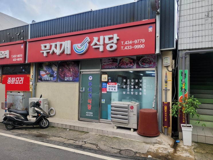 전남 강진 옛날손짜장 카페1555 무지개식당 님아 그 시장을 가오 백종원 극찬 식당 강진 맛집