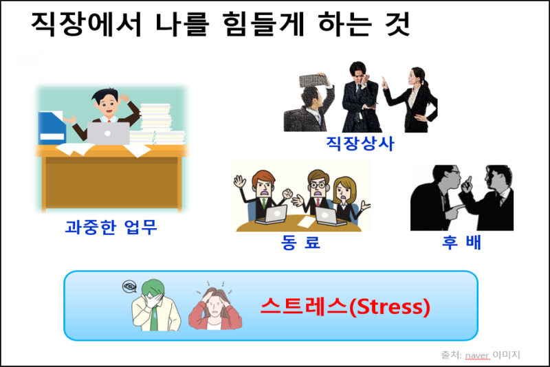 법정의무교육 직장 내 괴롭힘 갑질 예방 교육 서울특별시 중랑구 사회복지협의회 회원 대상 행복한 직장으로의 조직문화 개선