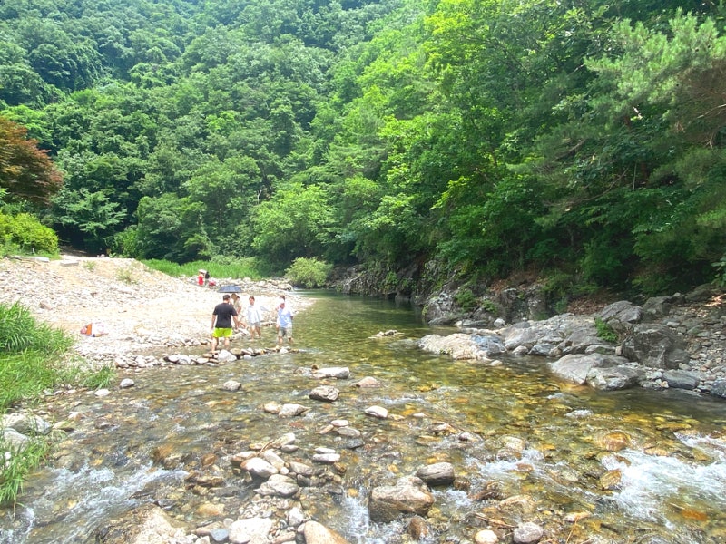 경기도 가평 아이와 가볼만한곳 놀거리 물놀이 당일치기 여행 용추계곡 용추구곡 주차 취사 명당자리 네이버 블로그