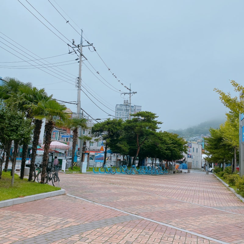 여수 연안여객터미널 운항 시간표 요금 주차장 화물 접수 정보 네이버 블로그