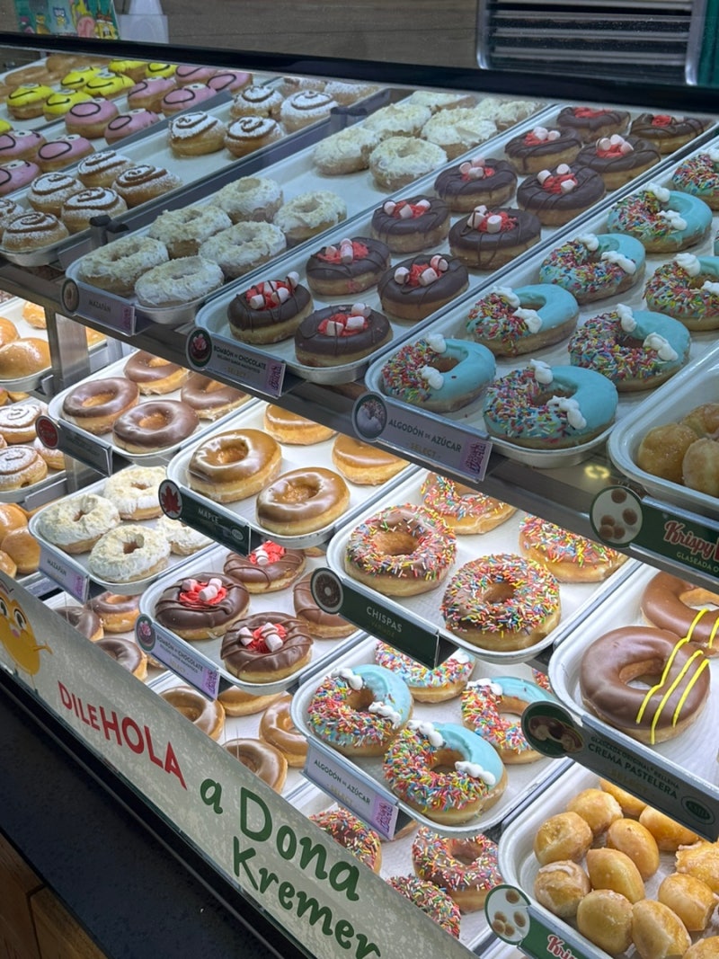 [멕시코 La Paz 여행🇲🇽 ⓾] 인생 여행지, 바하캘리포니아,말레꼰 비치,Isla del Espiritu Santo ...