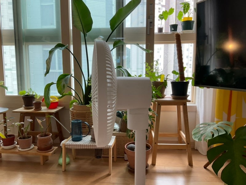 "루메나 무선 서큘레이터 선풍기" 일주일 사용 후 장단점 정리!(★내돈내산 후기★) : 네이버 블로그