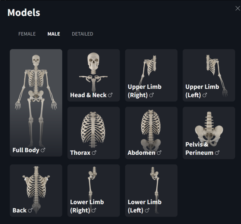 내돈내산 해부학 어플 리뷰 : 3D 아틀라스, Human anatomy, Complete anatomy, Muscle ...