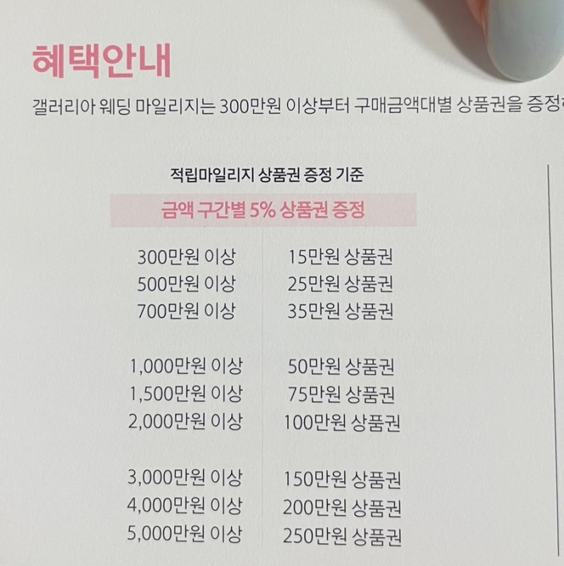 결혼준비 백화점 웨딩마일리지 비교갤러리아 롯데 현대백화점 네이버 블로그