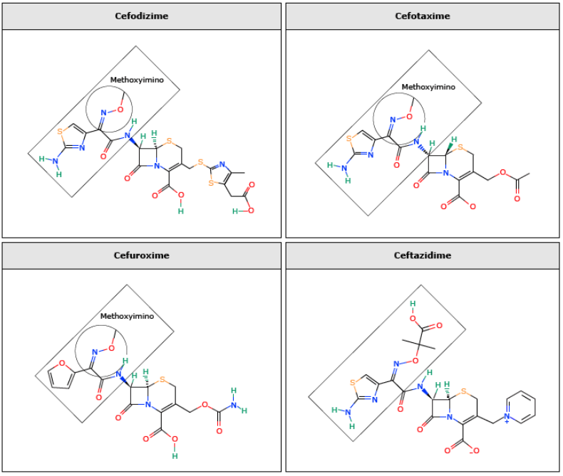 세팔로스포린 투약 후 아나필락시스가 발생한 경우 알레르기 원인 평가를 위한 방법 : 네이버 블로그