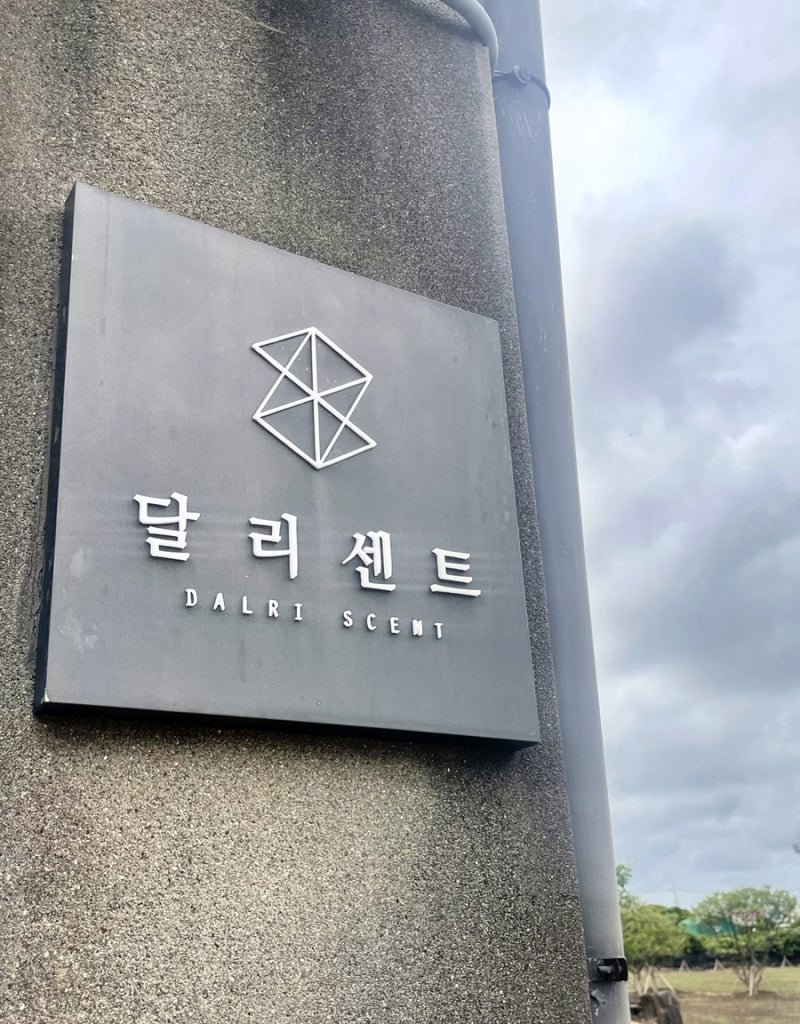 여행기록 2박 3일 제주여행 Day 2 함덕뚝배기 롱플레이 수국스팟 혼인지 구좌 달리센트 목화휴게소 플레이스캠프