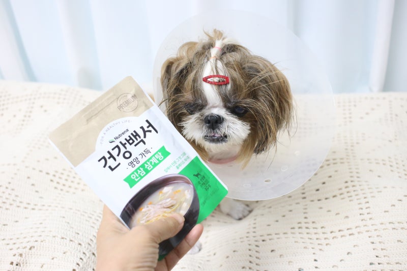 강아지 삼계탕 인삼까지 들어있는 노견 강아지보양식 네이버 블로그