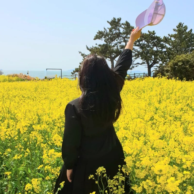 부안 채석강 적벽강 수성당유채꽃 포토스팟 추천 네이버 블로그