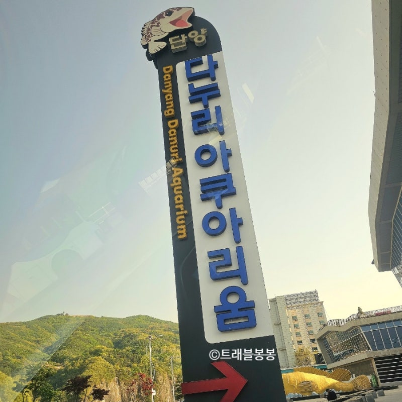 단양 다누리 아쿠아리움 가격 할인 주차 충북 단양 볼거리 실내 가볼만한곳 네이버 블로그