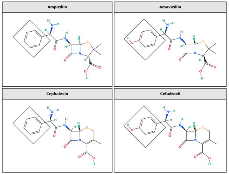 세팔로스포린 투약 후 아나필락시스가 발생한 경우 알레르기 원인 평가를 위한 방법 : 네이버 블로그